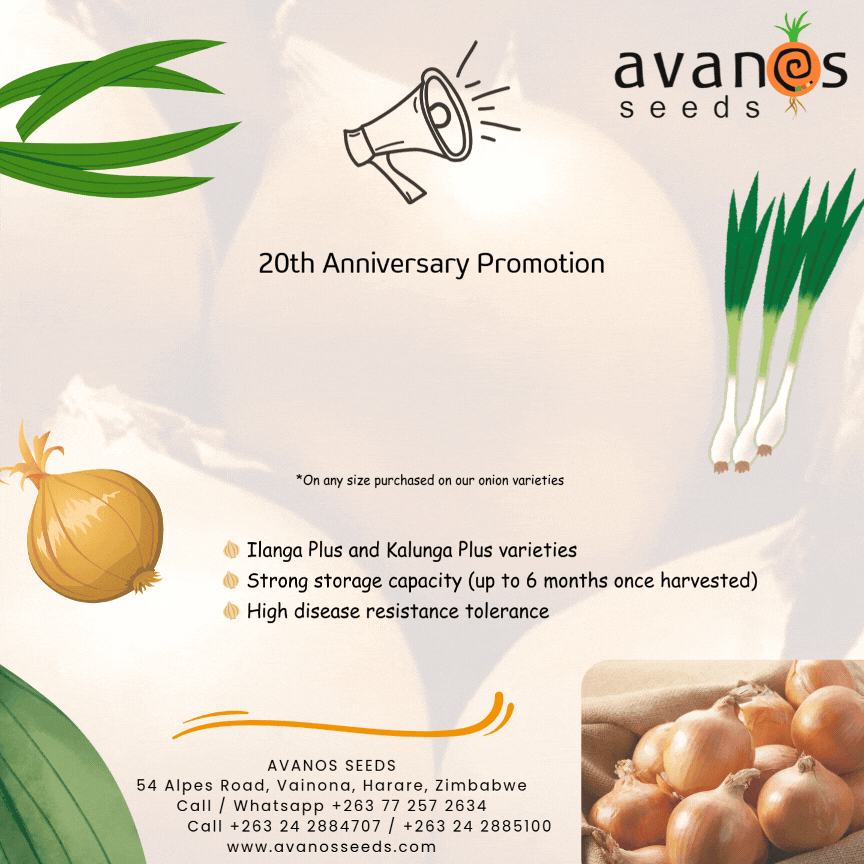 20th Anniversary | Avanos Seeds