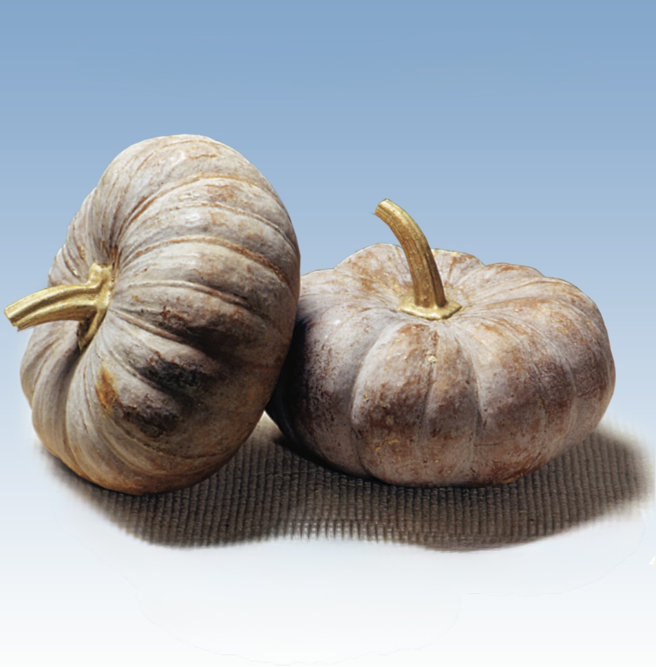 Pumpkin Varieties | Avanos Seeds