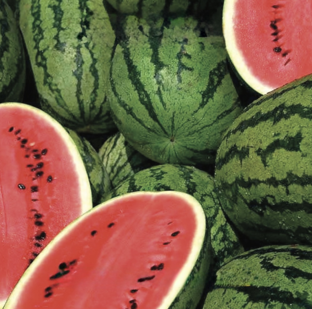 Watermelon Varieties | Avanos Seeds